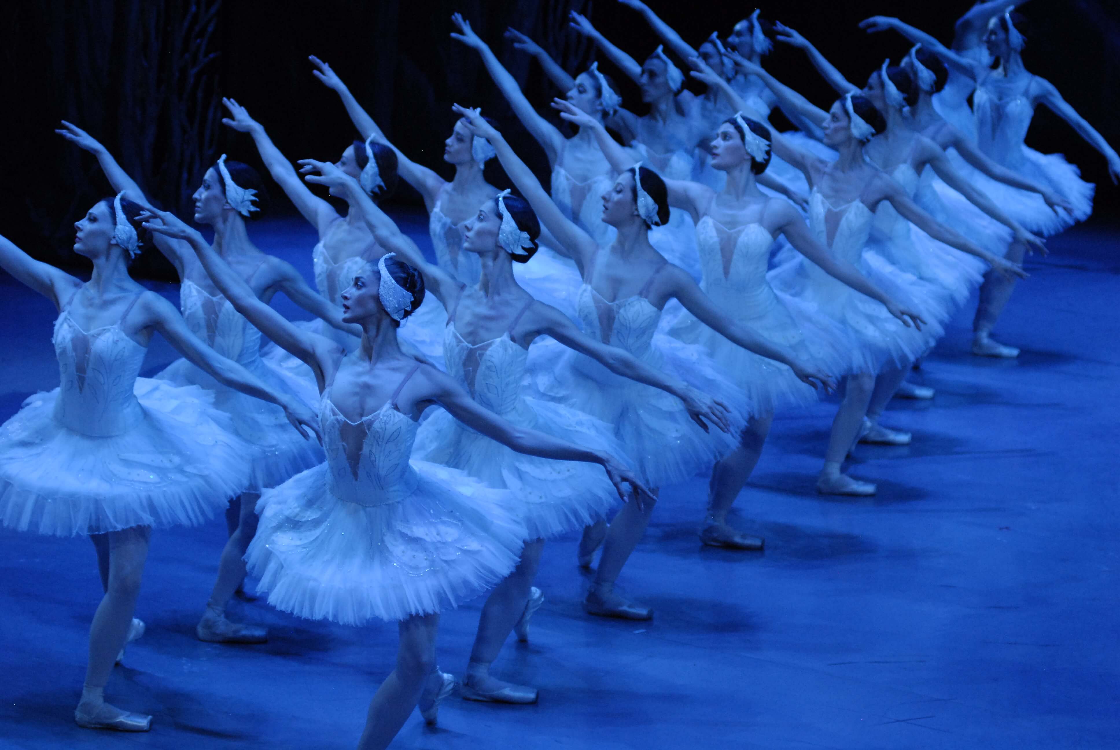 Swan Lake - State Ballet Of Georgia London - London Coliseum ...